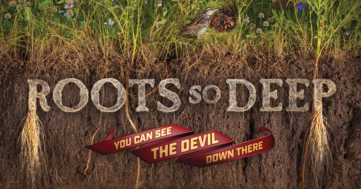 Roots So Deep Documentary | Regenerative Farming And Climate